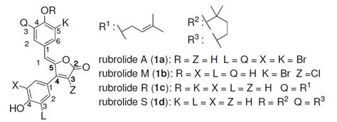 Sharelatex Compilingviewer Problem So Is Missing In Pdf Tex