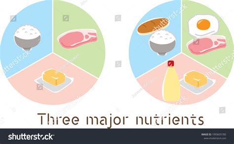 3 Major Nutrients Over 2 Royalty Free Licensable Stock Vectors