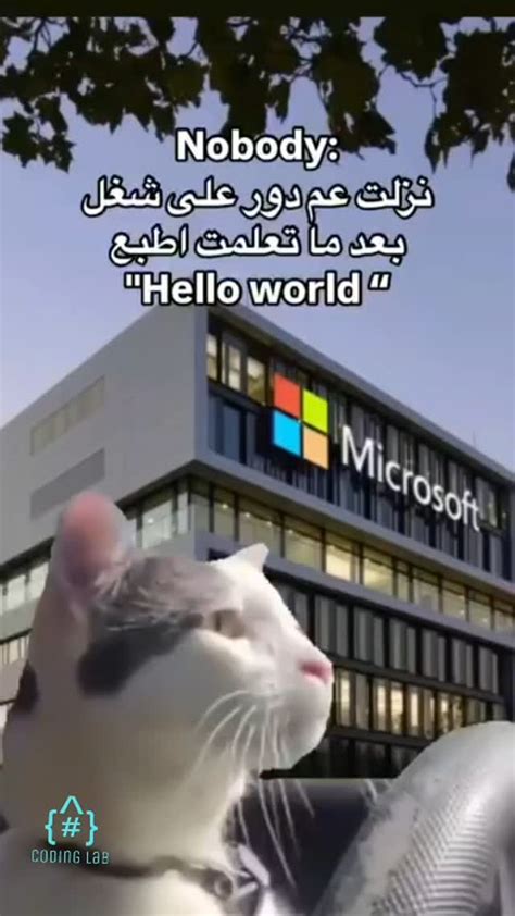 Coding Lab ‎نعم تستطيع 💪🔥 Linux Coding لينكس برمجه برمجة Ai Arabic Backend Frontend