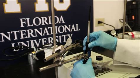 New Study Finds Biological Sex Can Be Detected By Hand Odor Fiu Researcher Explains Nbc 6 New Study Finds Biological Sex Can Be Detected By Hand Odor Fiu Researcher Explains Nbc 6