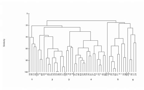 Cluster Diagram Using Bray Curtis Similarity Index To Determine