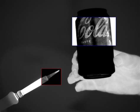 Digital Pixel Readout Integrated Circuit Senseeker Jan 2023