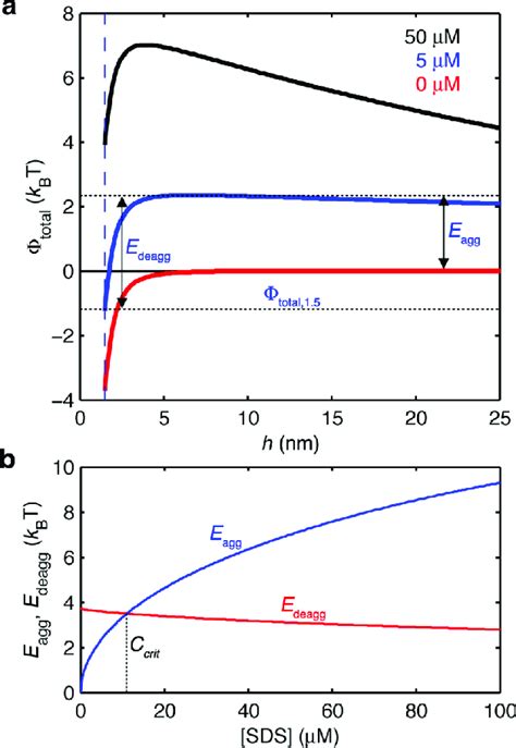 A The Total Interaction Energy Φ Total For 100 Nm 2 Overlap In Units