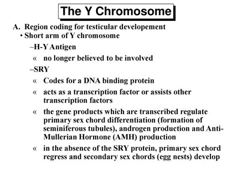 Animal Science 434 Reproductive Physiology Ppt Download