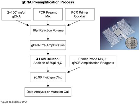 High Throughput Mutation Detection Workflow And Protocol Download