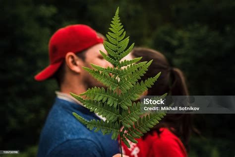 남자와 여자는 Ferns 사이에서 키스 커플 사랑 키스 그린 펀 숲에서 소년과 소녀입니다 사랑의 커플 여행 남자와 여자의 열정