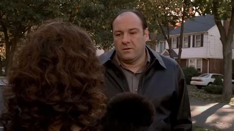 Annabella Sciorra Worked With James Gandolfini On Sopranos And Sly