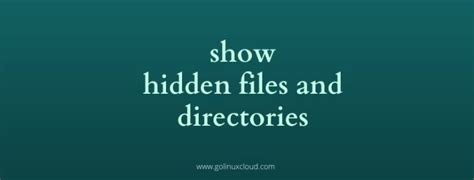 Linux Show Hidden Files And Folders With Simple Commands Golinuxcloud