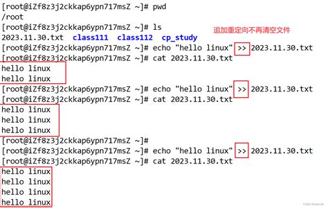 linux基本指令（中篇） csdn博客