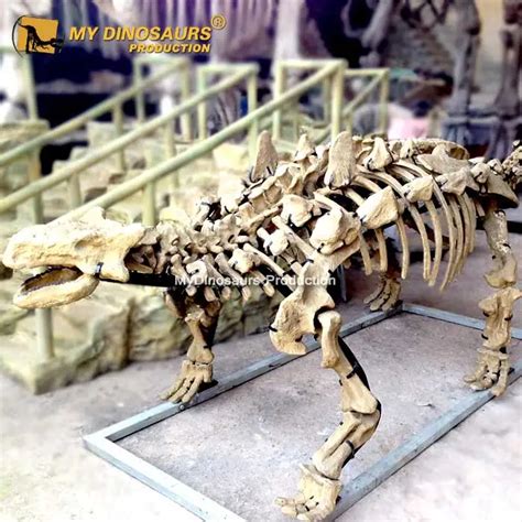 My Dino Fiberglass Dinosaur Ankylosaurus Skeleton Model