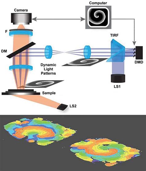 Cardiac Optogenetics Seeks To Fulfill Its Promise Features Sep 2017 Photonics Spectra