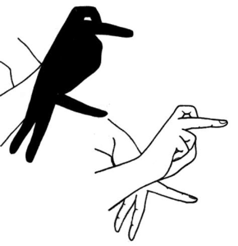 Bird Shadow Puppet Tutorial