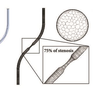 Computational Domain Of Validation Study Download Scientific Diagram