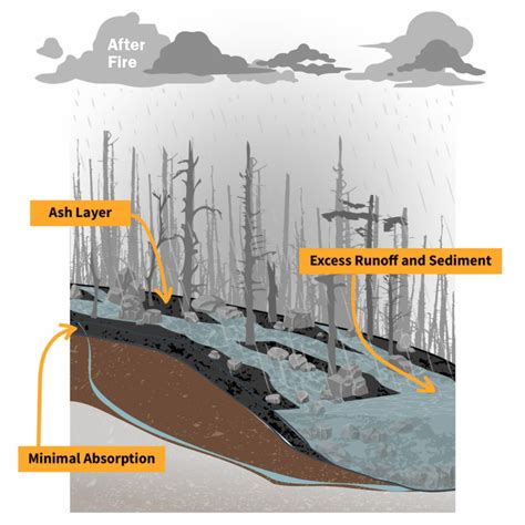 Fire Hydrology Data Viz Story U S Geological Survey