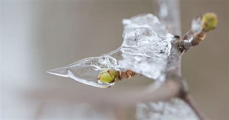 Unraveling The Enigma Debunking Myths Surrounding Lambda Cold Starts Infoq