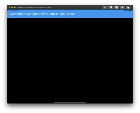I Updated A Xamarin Forms Project To Maui Xamarindevelopers