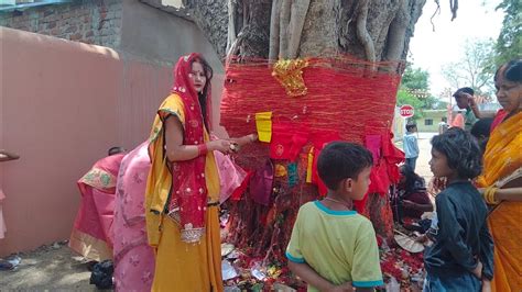 Vat Savitri Puja 🙏 ️🌱🌸🌺🌹 Vlog Youtube