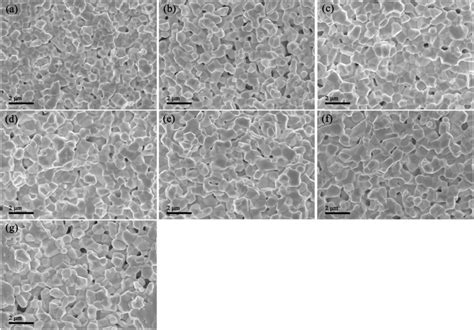 Evolution Of Microstructure Of Pure W Samples During Isothermal