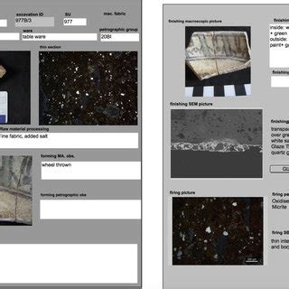 Example Of The Database Layout Presenting The SEM Pictures And EDS Download Scientific Diagram