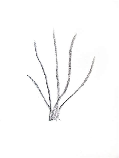 How To Draw A Tree Happy Family Art