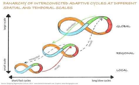 Adaptive Cycle And Panarchy Maps For Resilience Thinking
