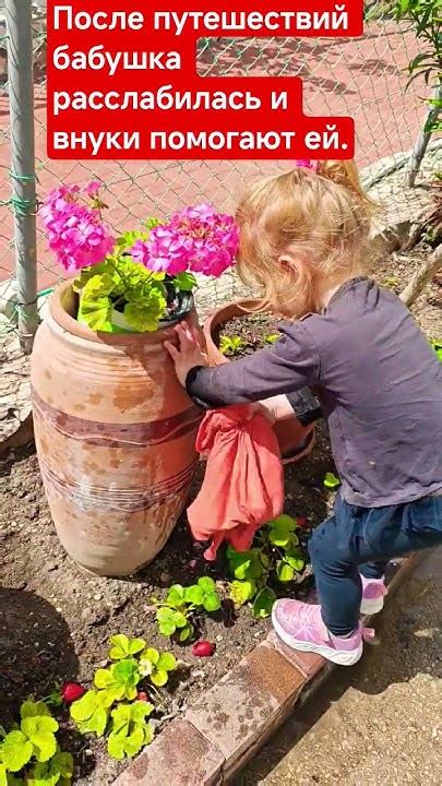 После поездок бабушка расслабилась приболела но внуки не дают ей упасть духом израиль дети