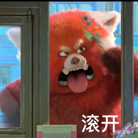 青春变形记表情包来啦可爱的红色熊猫表情包 知乎