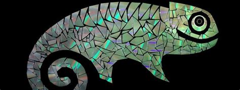 Geeko From Dvds R Opensuse