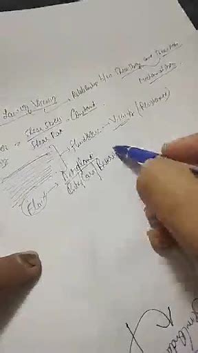 A Enunciate Newton S Law Of Viscosity Explain The Importance Of Visc