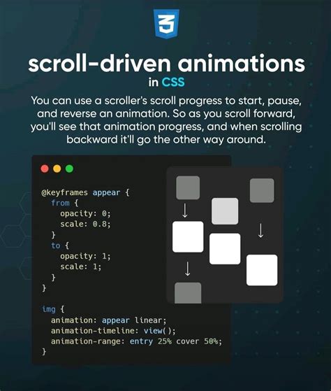 Arumugam Rajamani On Linkedin Csstricks Webdeveloper Angulardeveloper Leadengineer