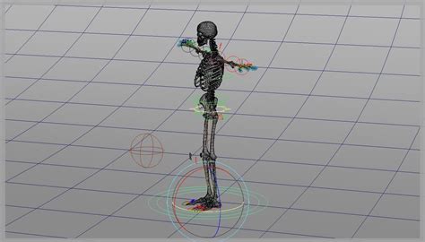Skeleton Rigging 3d Model Rigged Cgtrader