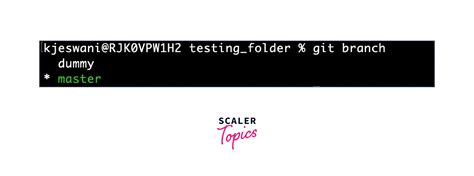 Difference Between Checking Out Revering Resetting Scaler Topics