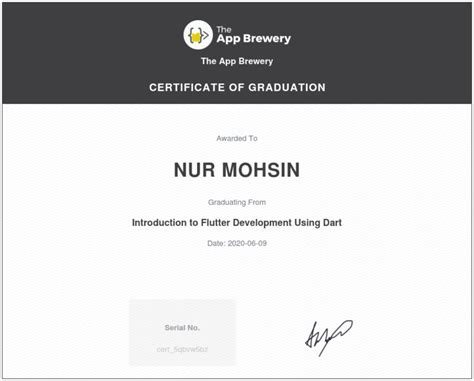 Flutter Dart Appdevelopment Nur Mohsin