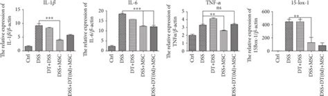 Hucmscs Attenuate The Dss Induced Ibd Through Regulating Macrophages Download Scientific
