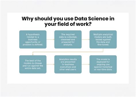 Importance Of Data Science For Businesses Complete Guide
