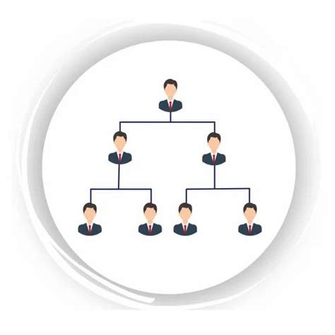 Binary Plan Mlm Software At Rs 35000 Mlm Software In New Delhi Id 2852426526473