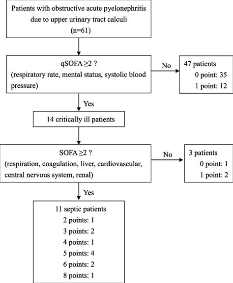 Sepsis Diagram Disease Management Sepsis