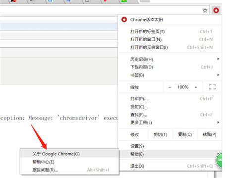 selenium使用遇到的问题selenium common exceptions WebDriverException Message chromedriver