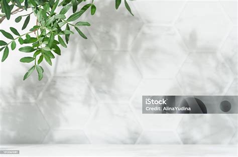 흰색 대리석 타일 벽에 그림자와 나무의 녹색 가지에 봄 햇빛 나무 테이블 복사 공간 배경 주제에 대한 스톡 사진 및 기타 이미지 배경 주제 화장실 건축물 탁자