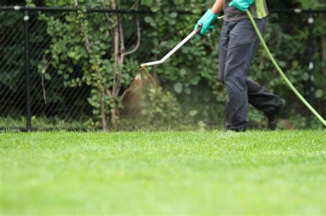 Best Organic Lawn Care Toronto Naturally The Best Solution For Your Lawn
