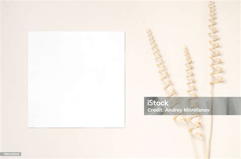 흰색 초대 장 카드 모형과 마른 포도 나무에서 장식 가지 베이지 색 배경 공간을 복사합니다 0명에 대한 스톡 사진 및 기타