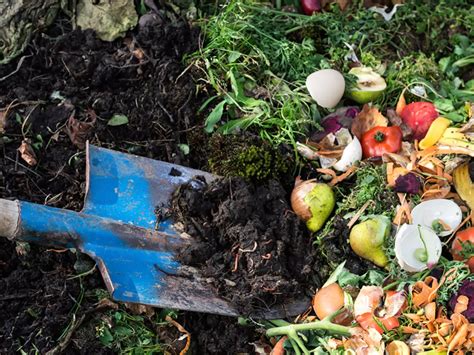 Easy Composting Techniques For You