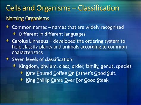 Ppt Cells And Classification Powerpoint Presentation Free Download