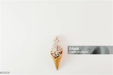 상위 뷰 아이스크림 콘 지점 꽃 흰색 배경 최소한의 봄 플랫 하다 개념에 대한 스톡 사진 및 기타 이미지 개념 꼭대기 꽃 식물 Istock