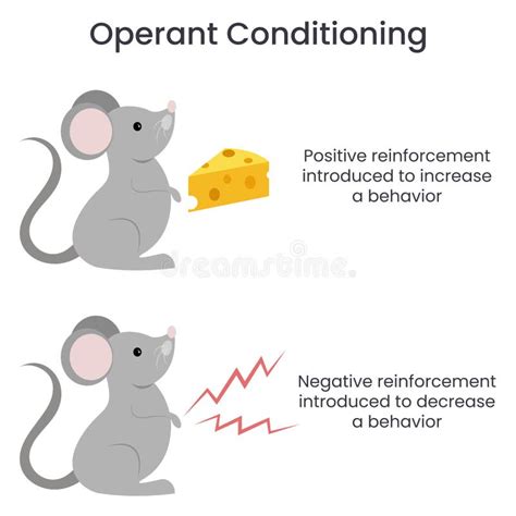 Operant Conditioning Stock Illustrations 27 Operant Conditioning