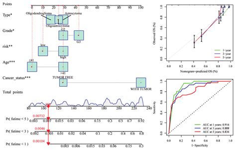 Creation And Verification Of The Risk Score Based Nomogram Plot A A Download Scientific