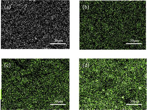 edx elemental mapping of rb on various the specimen surfaces a