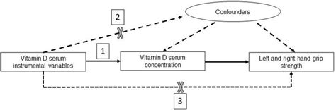 Schematic Representation Of Mr Analysis Illustrates Three Assumptions Download Scientific