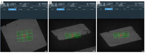 Cryo Electron Tomography Remote Data Collection And Subtomogram Averaging Scientific Article