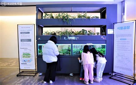 서울시 내 손안에 서울